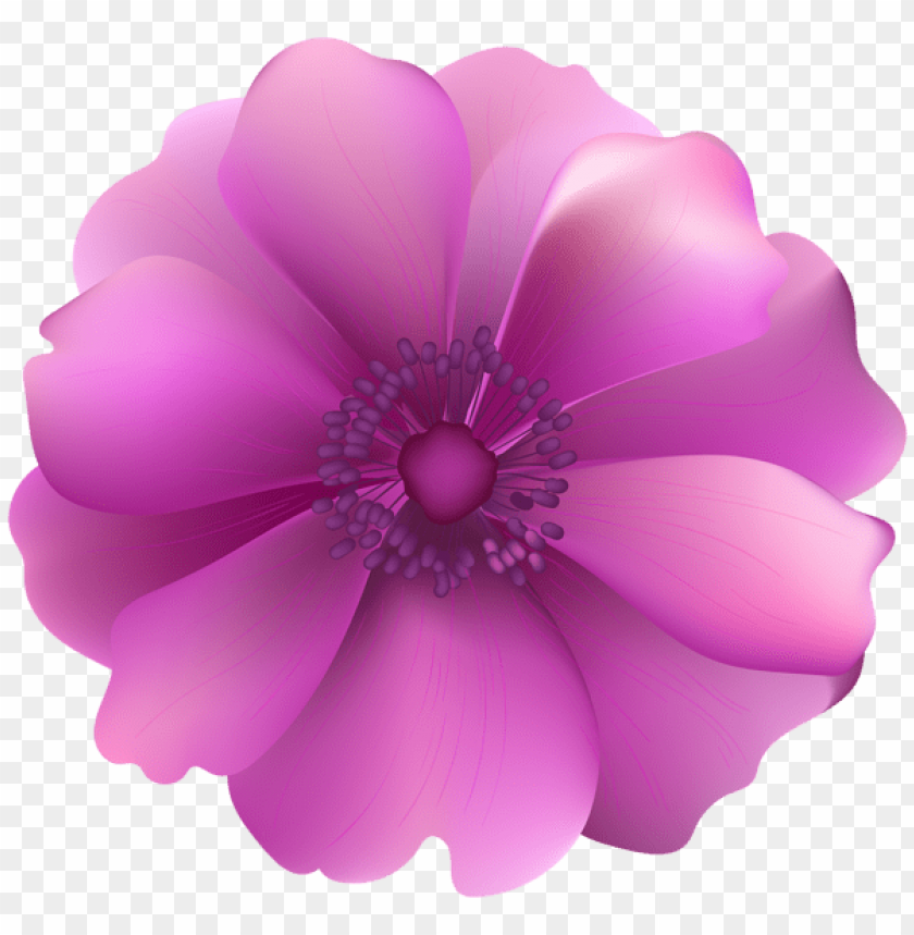 Free download | HD PNG PNG image of pink flower decorative transparent ...