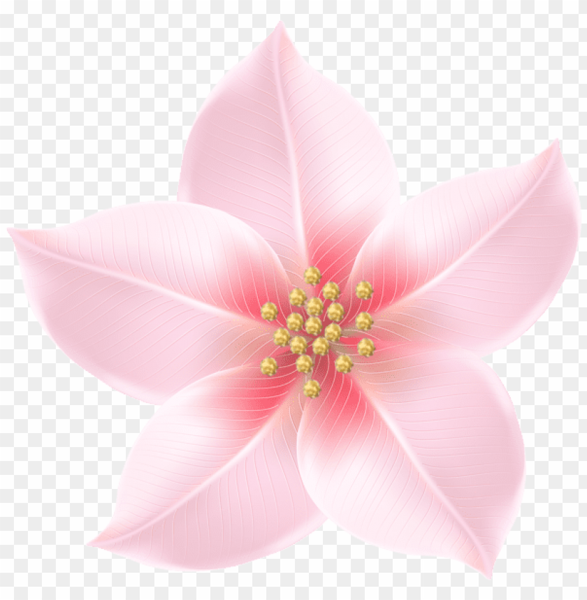 Free download | HD PNG PNG image of pink flower decorative transparent ...