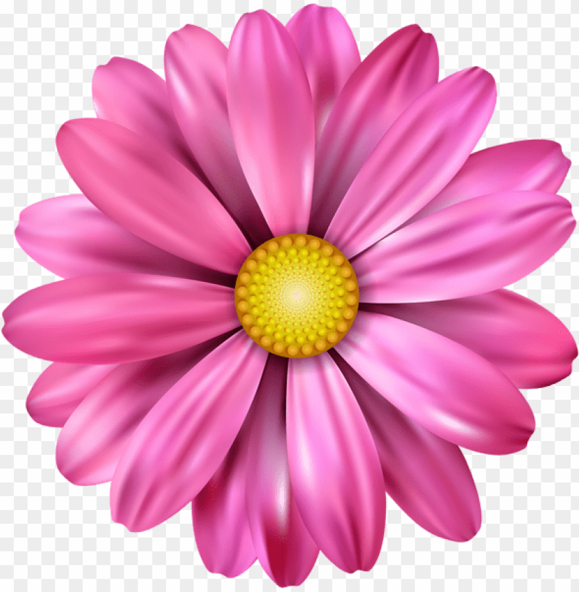 Free download | HD PNG PNG image of pink flower transparent with a ...