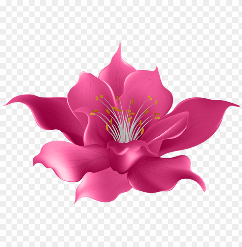 Free download | HD PNG PNG image of pink flower transparent with a ...