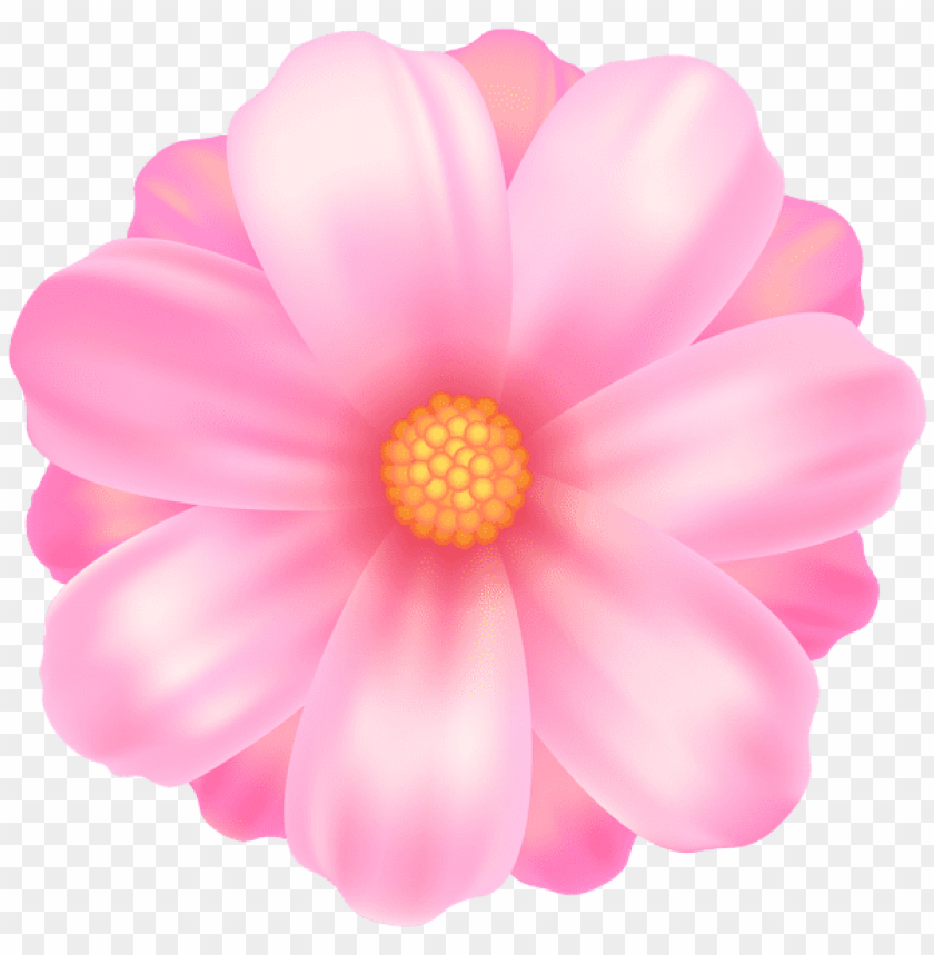 Free download | HD PNG PNG image of pink flower transparent with a ...
