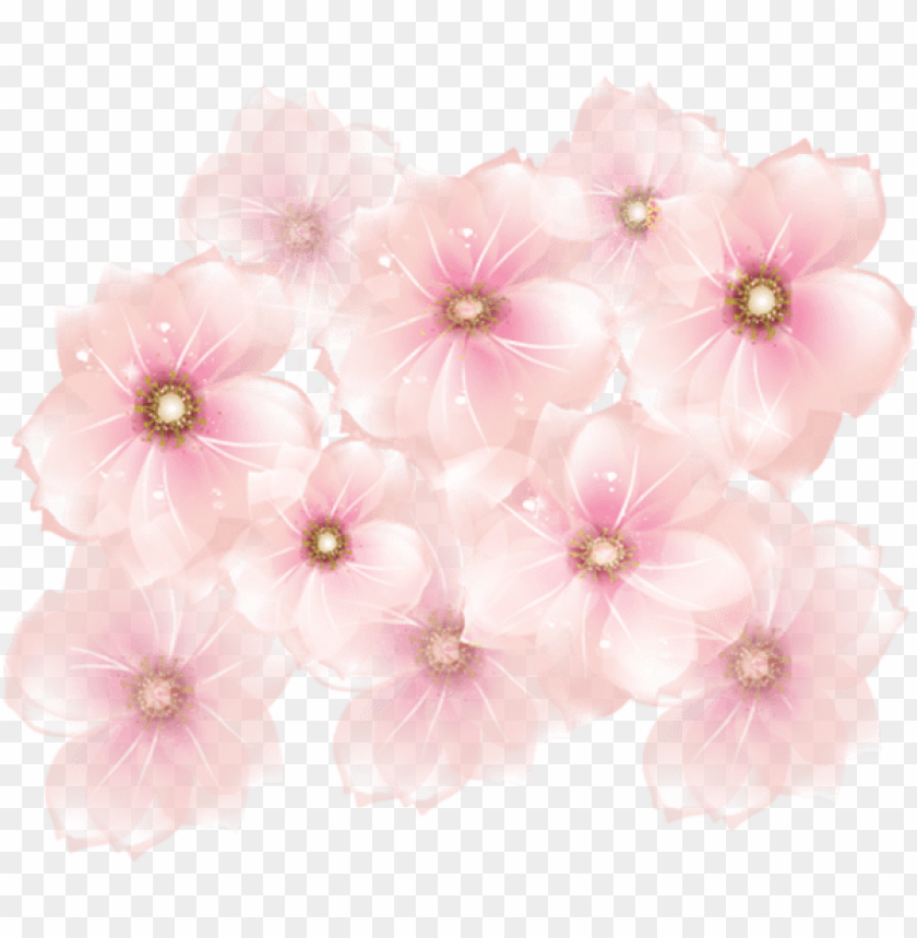 Free download | HD PNG PNG image of pink flowers transparent with a ...