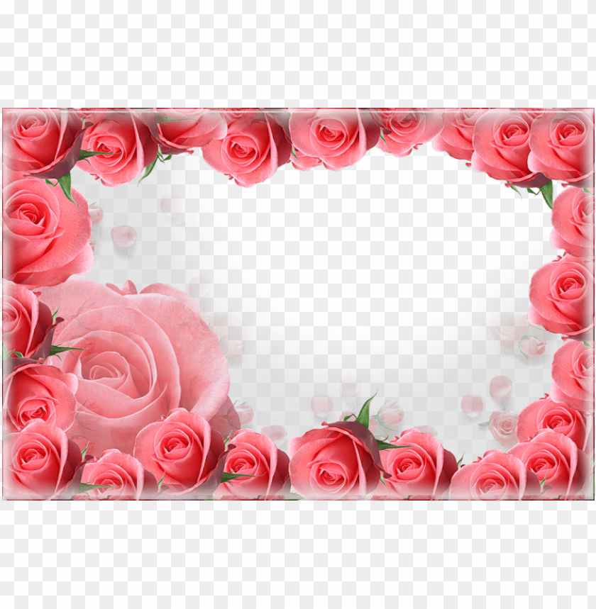 Free download | HD PNG pink png roses frame background best stock ...