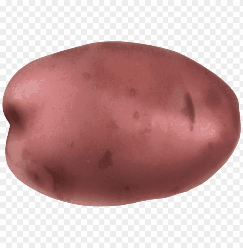 Free download | HD PNG Transparent pink potato with slightly rough skin ...