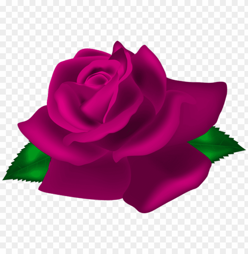 Free download | HD PNG PNG image of pink rose deco with a clear ...