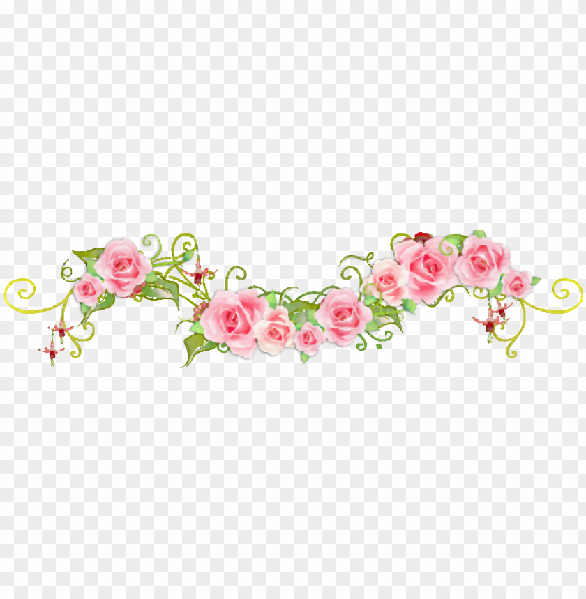 Free download | HD PNG pink rose dividers cliparts PNG transparent with ...
