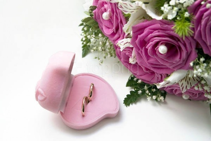 Free download | HD PNG pink roses wedding 4k wallpaper background best ...
