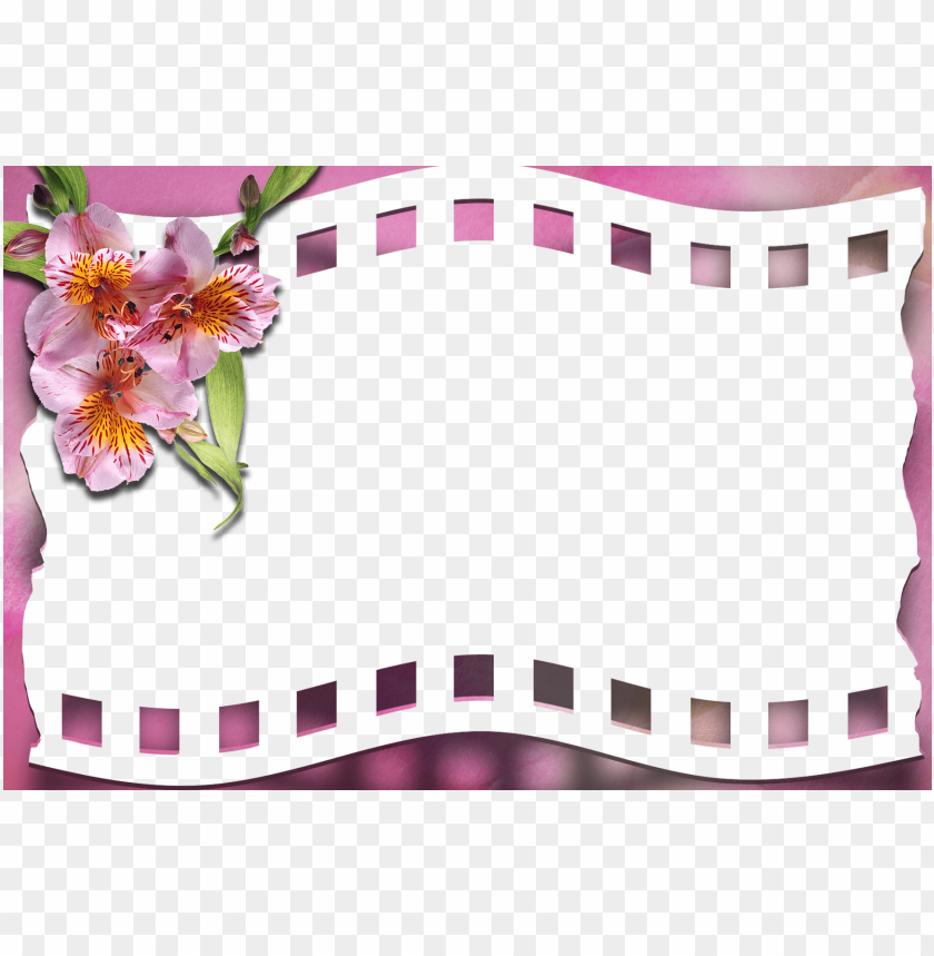 Free download | HD PNG pink transparent frame with pink flower ...