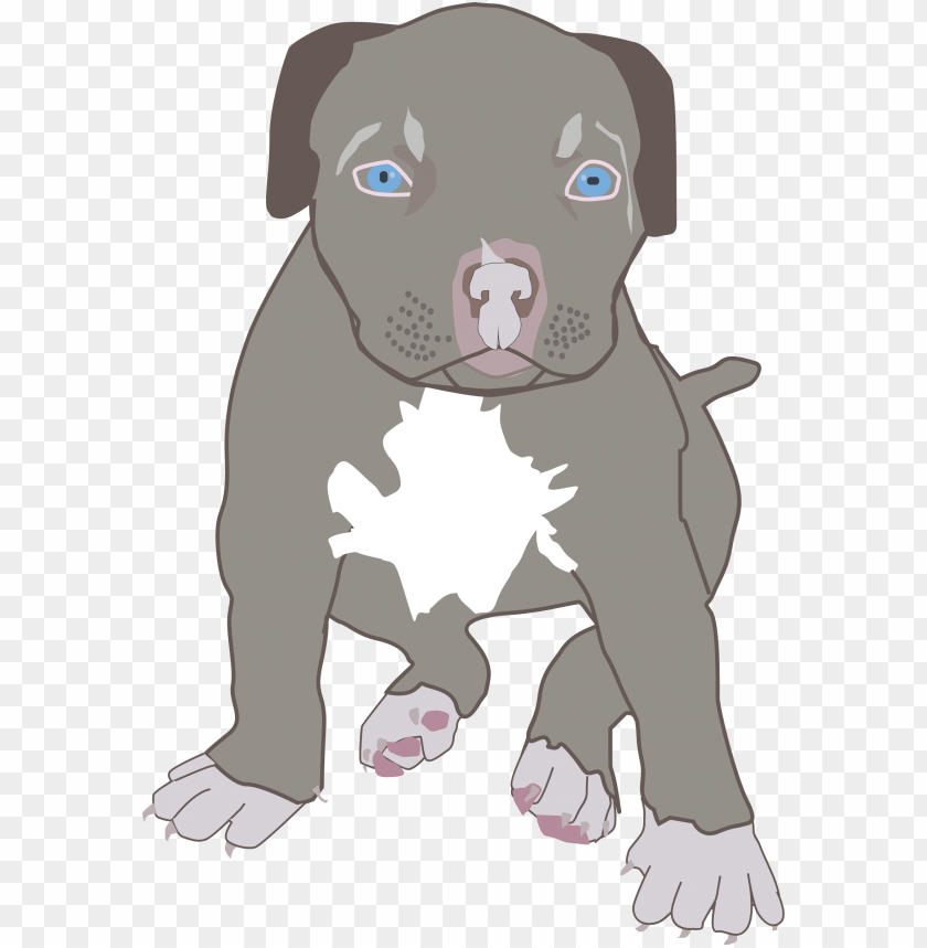 Free download | HD PNG pitbull png PNG transparent with Clear ...