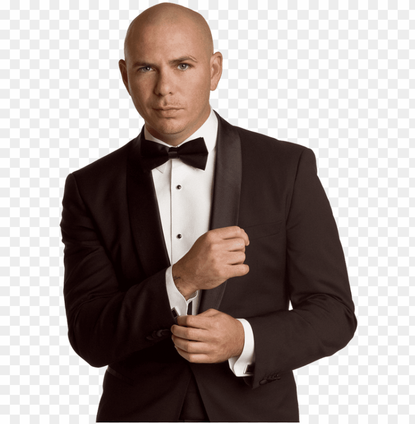 Free download | HD PNG pitbull png PNG transparent with Clear ...