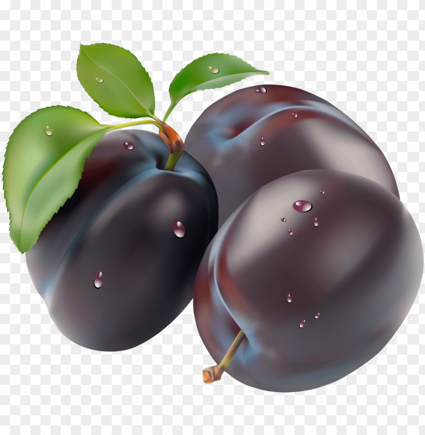 Free download | HD PNG shiny black plum illustration clipart png photo ...