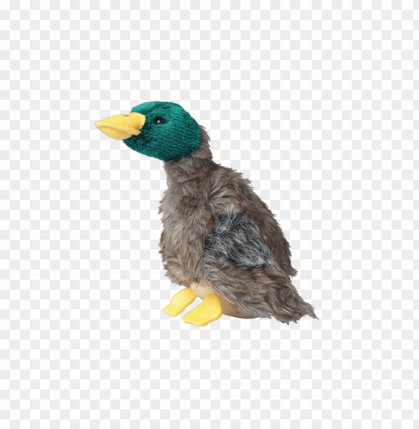 Free download | HD PNG plush duck for dogs PNG transparent with Clear ...