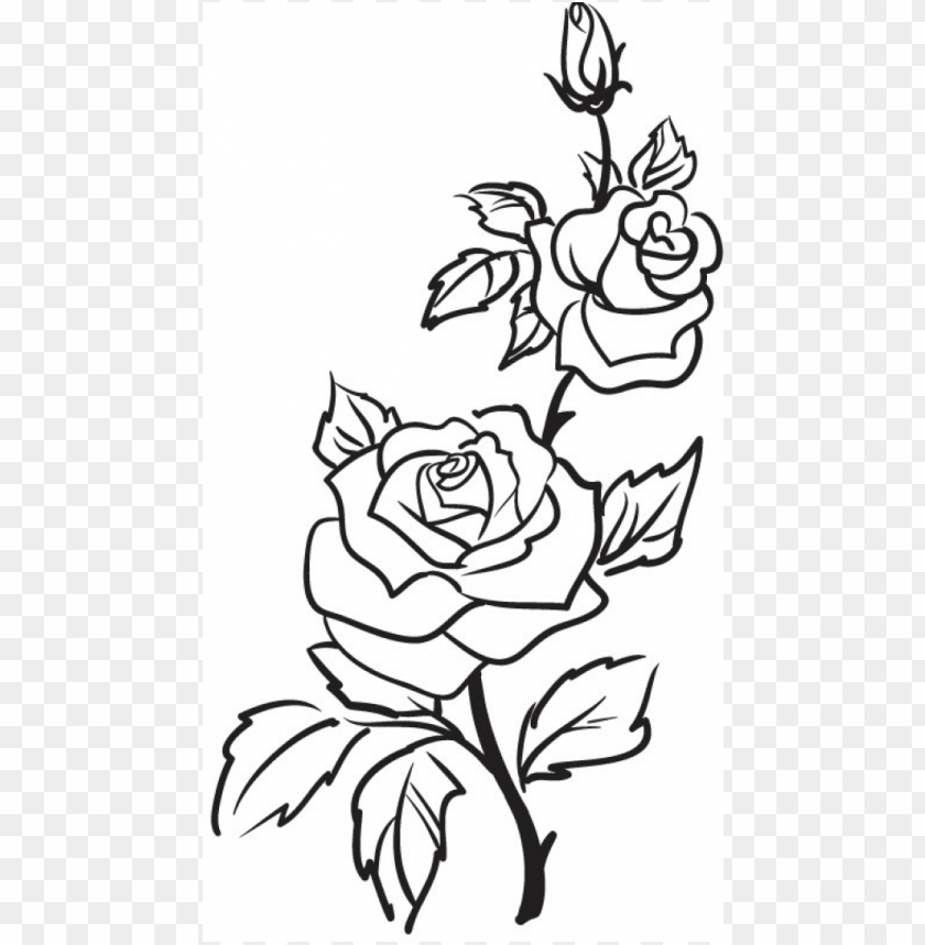 Free download | HD PNG elegant rose bloom outline png clipart png photo ...