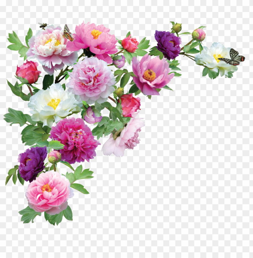 Free download | HD PNG png transparent flowers PNG transparent with ...