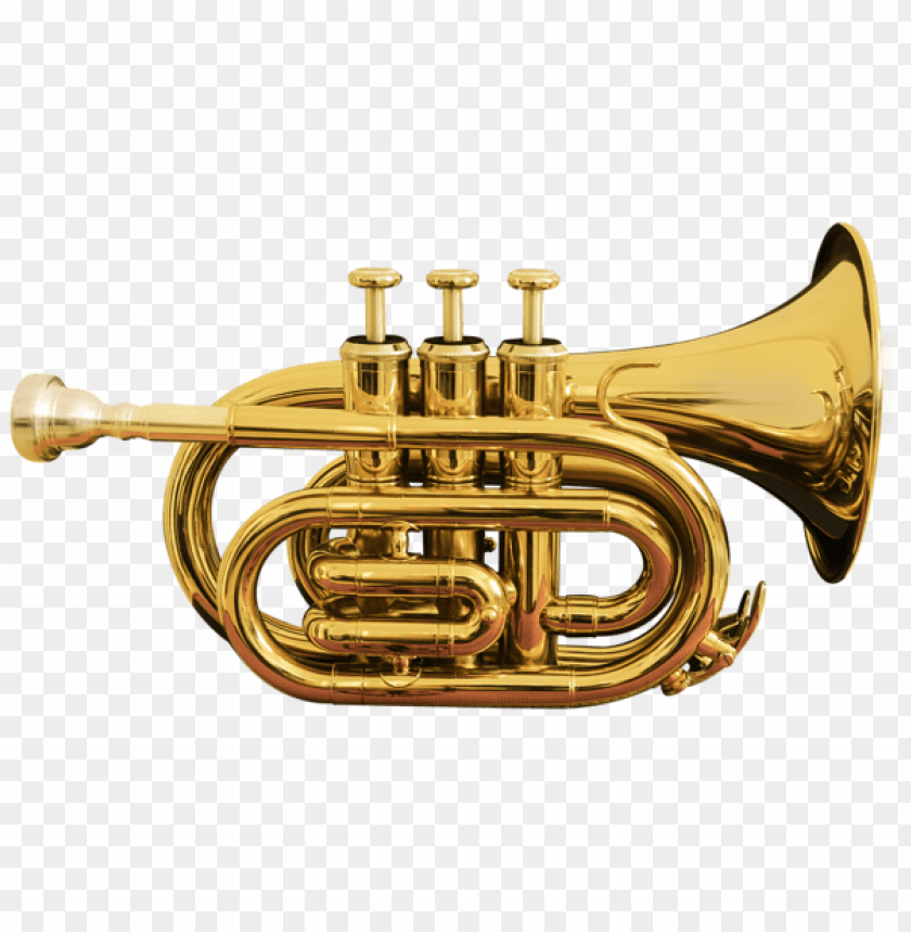 Free download | HD PNG pocket trumpet transparent PNG image with ...
