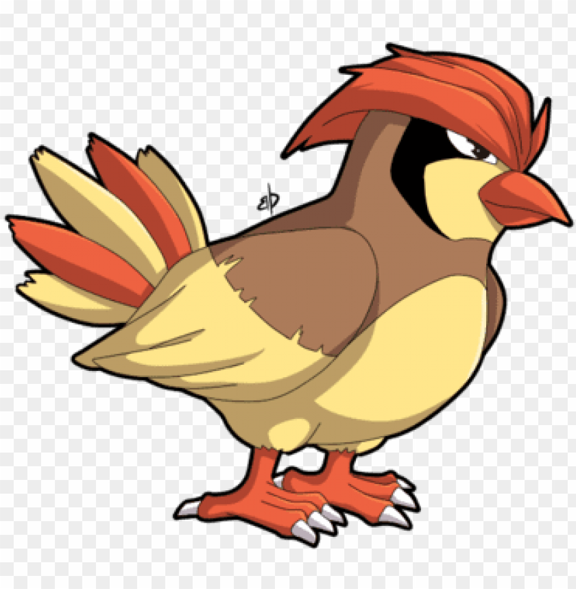 Free download | HD PNG pokemon bird with hair PNG transparent with ...