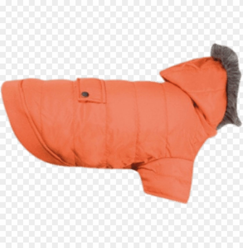 Free download | HD PNG polar dog coat with furry lining PNG transparent ...
