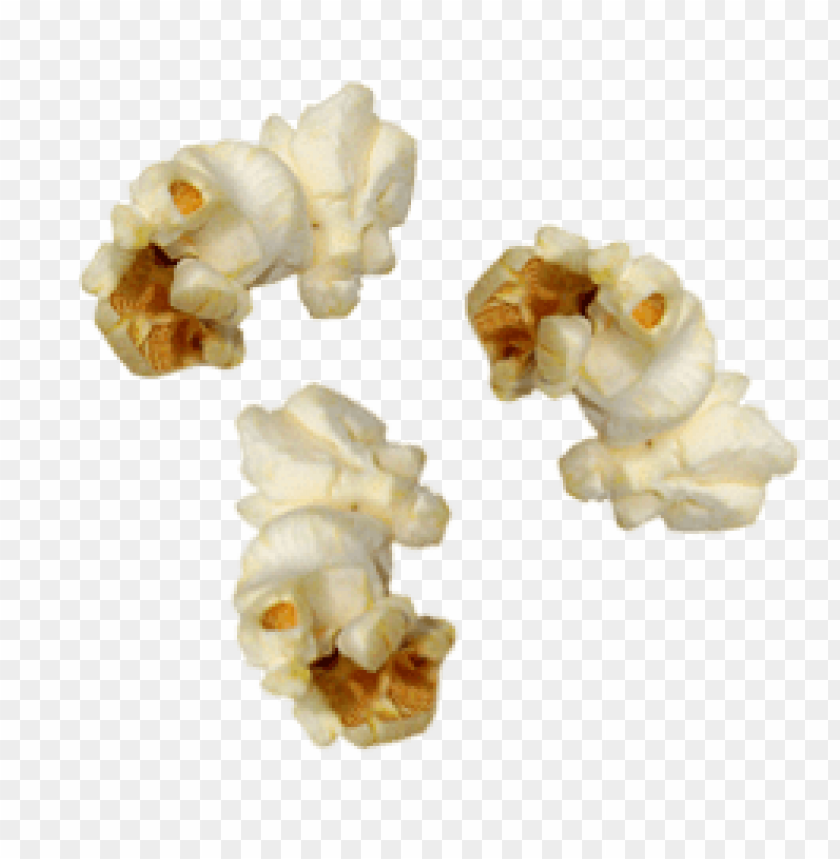 Free download | HD PNG individual popcorn kernels close up PNG images ...