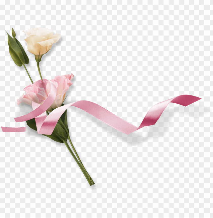 Free download | HD PNG portable network graphics PNG transparent with ...