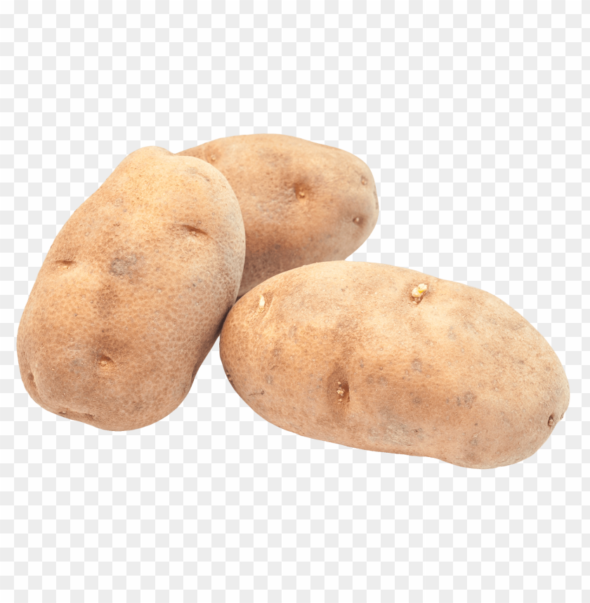 Free download | HD PNG potato PNG images with transparent backgrounds ...
