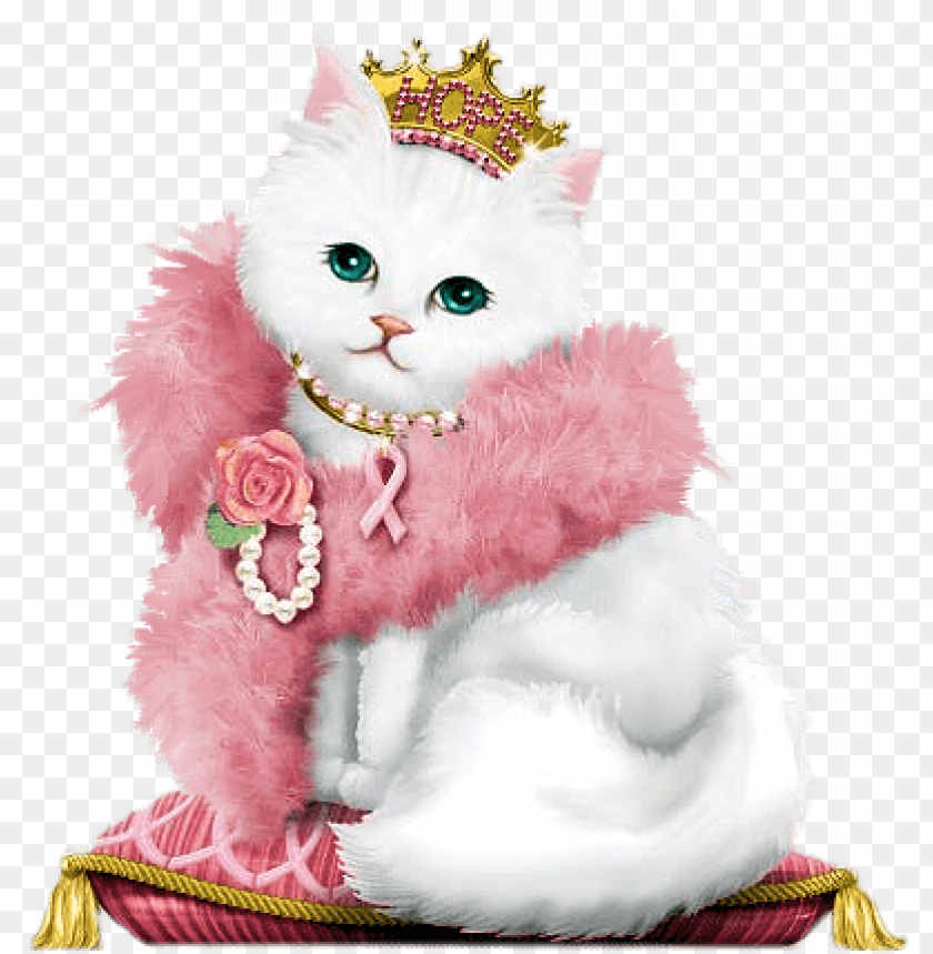 Free download | HD PNG princess cat | TOPpng