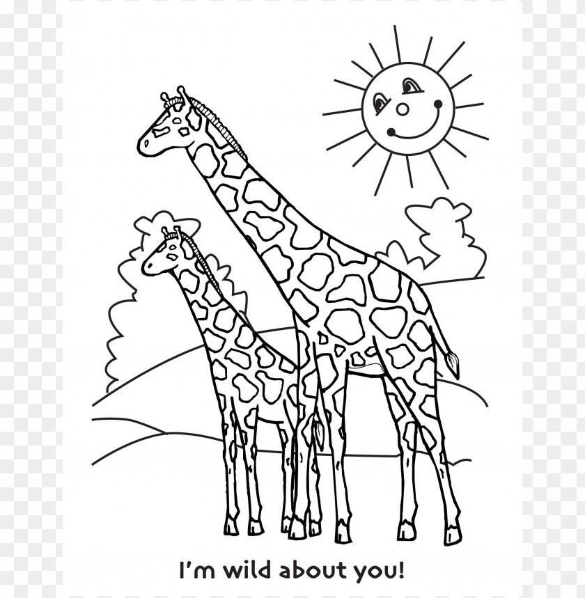 Free download | HD PNG printable coloring pages colors PNG transparent ...