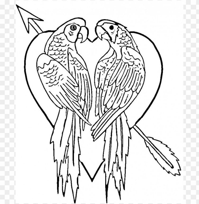 Free download | HD PNG printable coloring pages colors PNG transparent ...