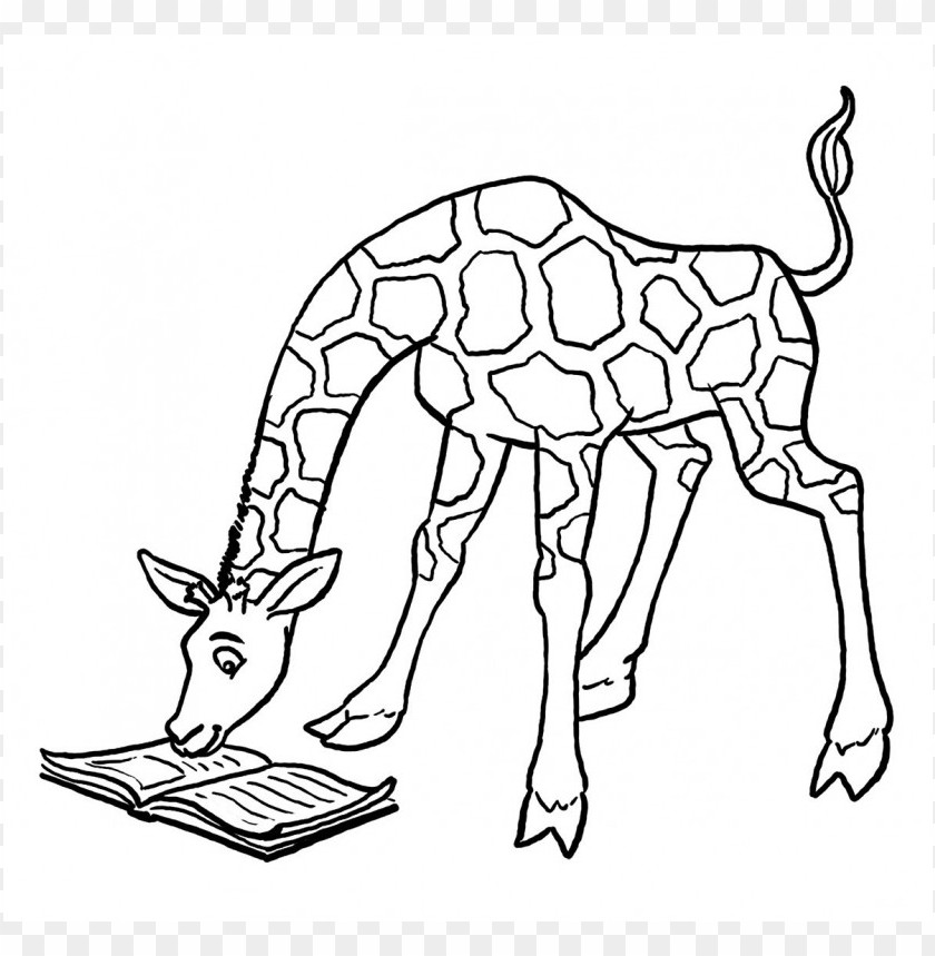 Free download | HD PNG printable coloring pages colors PNG transparent ...