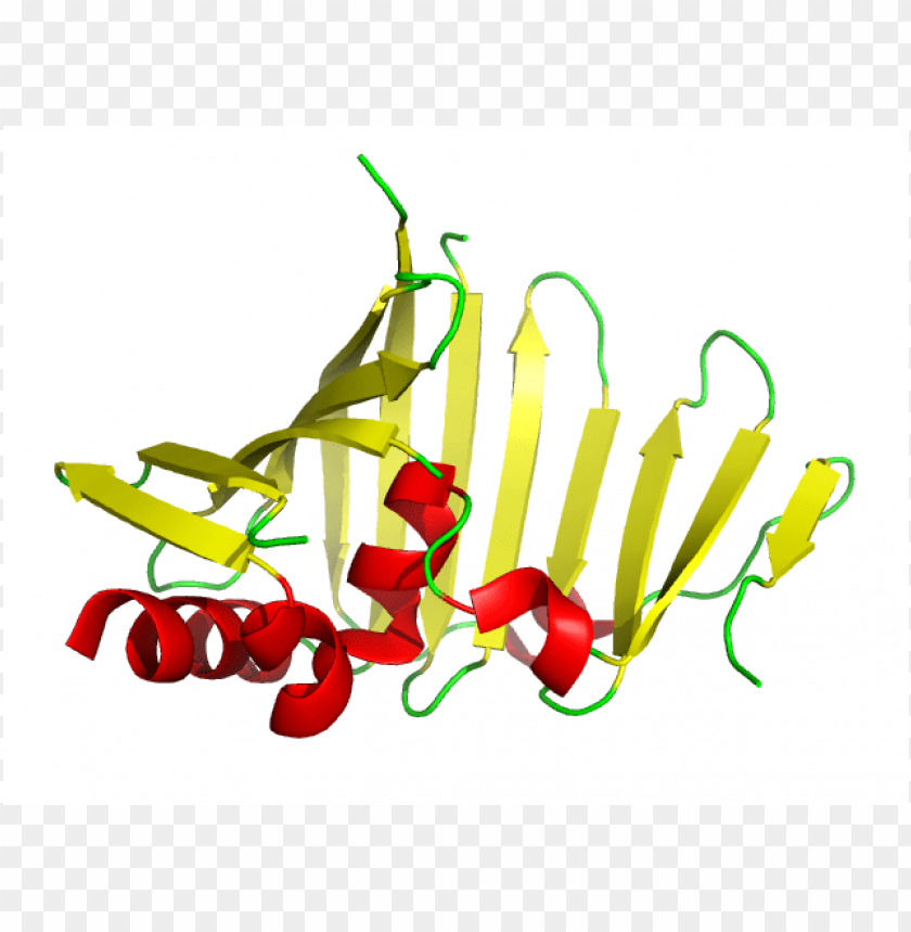 Free download | HD PNG protein cartoon PNG transparent with Clear ...