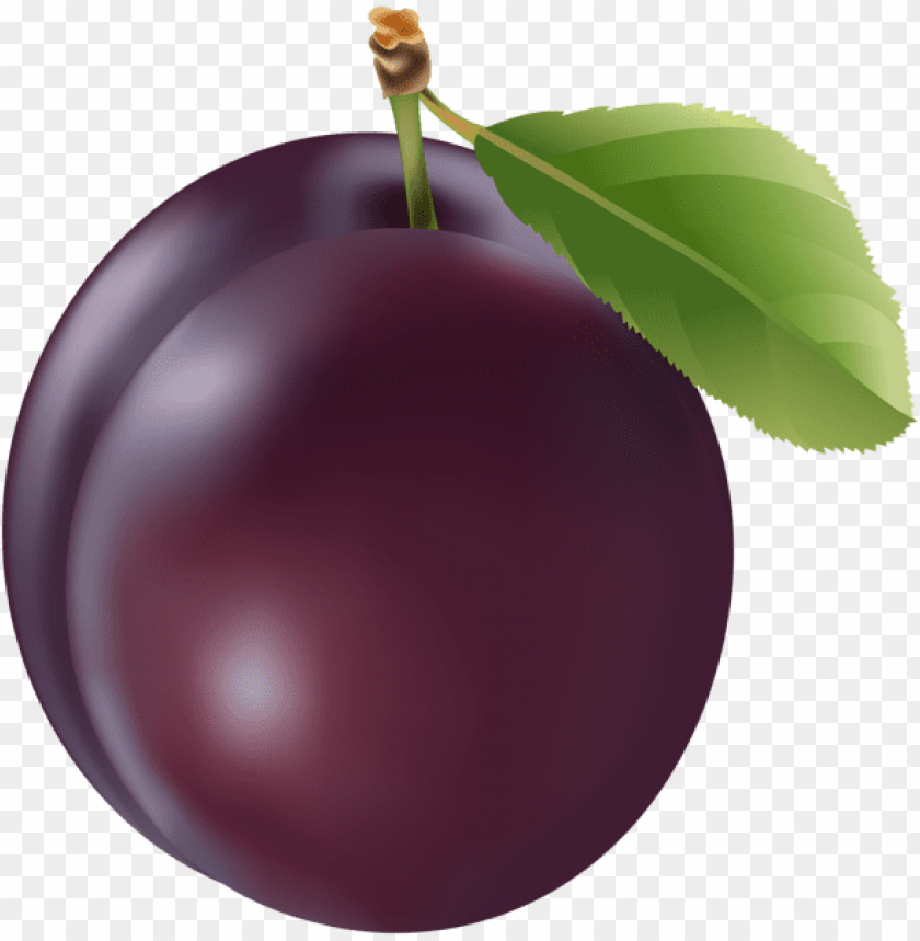 Free download | HD PNG single plum with natural texture | TOPpng