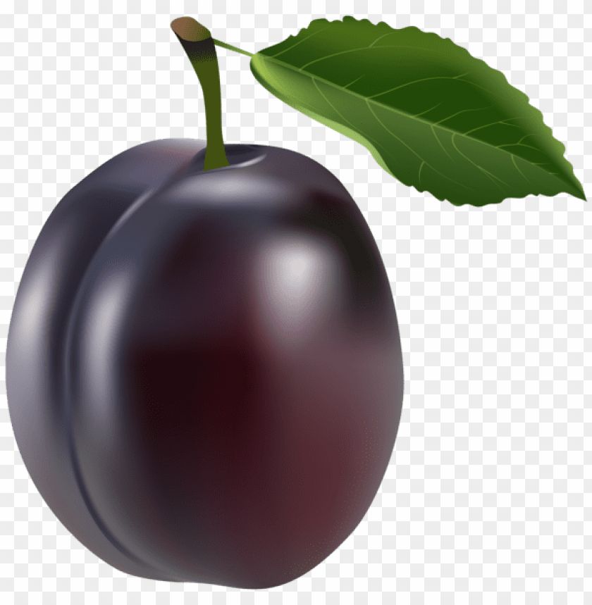 Free download | HD PNG plum with smooth purple skin | TOPpng