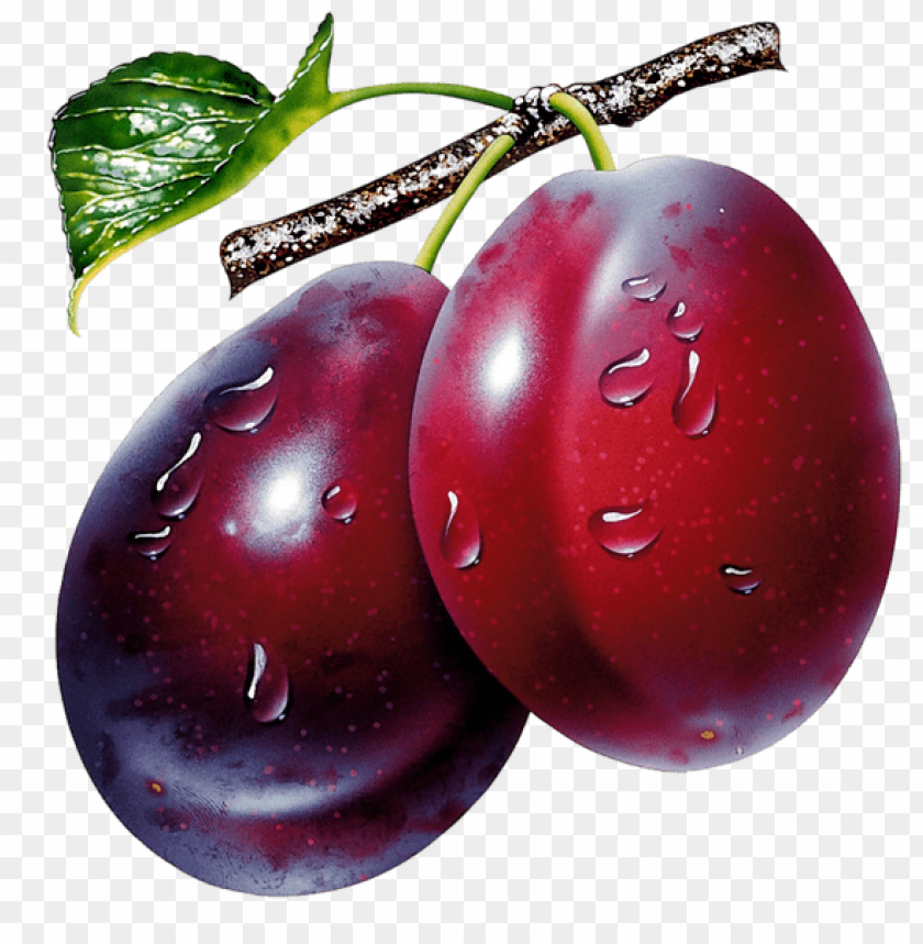 Free download | HD PNG cluster of red plums with water droplets | TOPpng