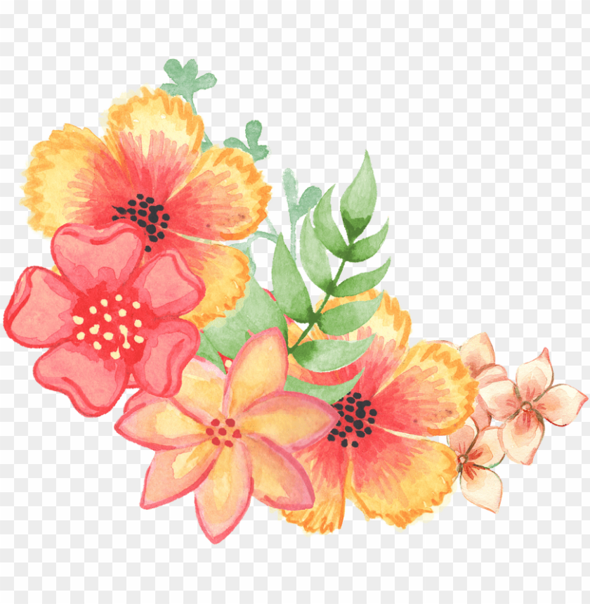 Free download | HD PNG public domain watercolor flowers PNG transparent ...