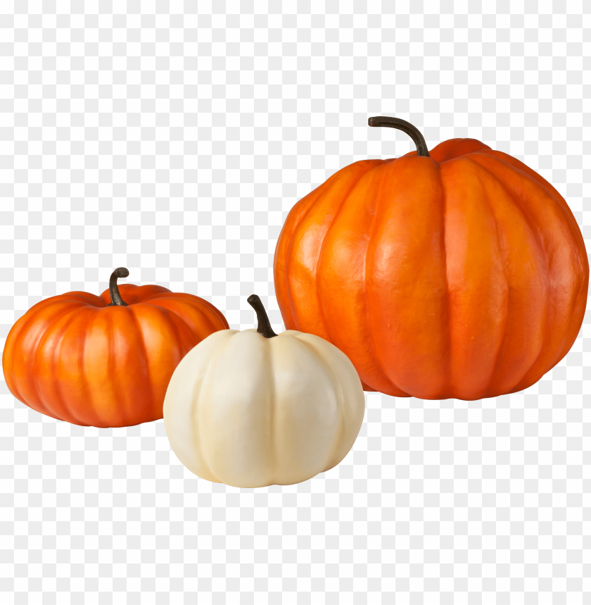 Free download | HD PNG two small pumpkins with vibrant orange color png ...