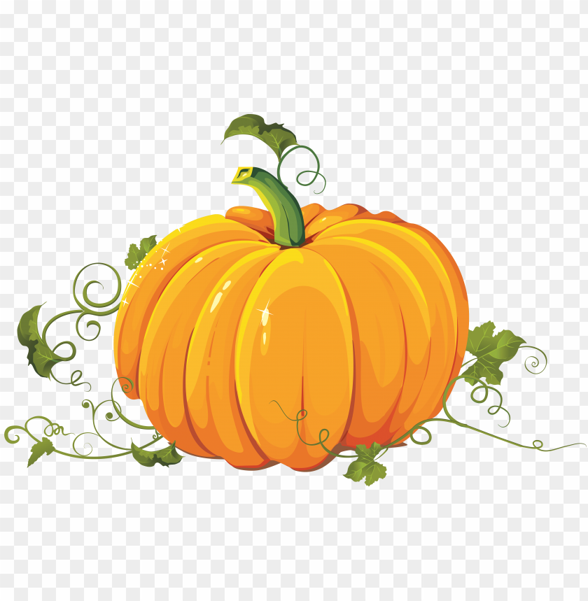 Free download | HD PNG pumpkin clipart png photo - 28250 | TOPpng