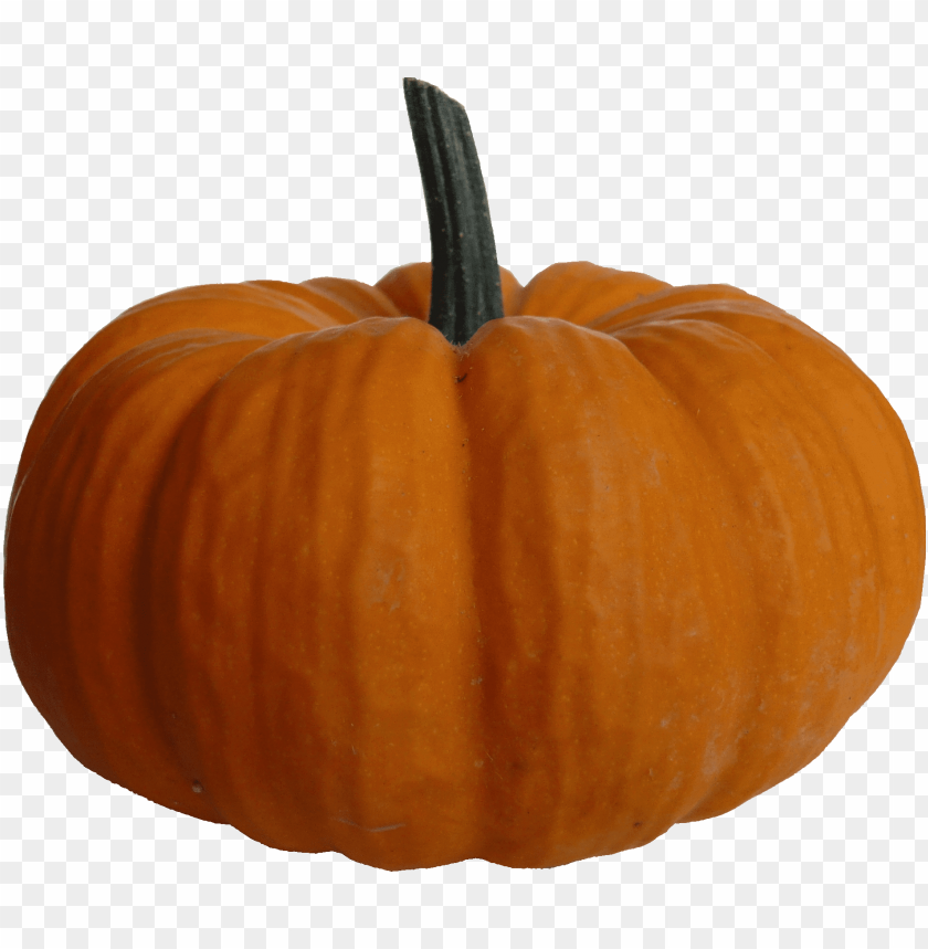 Free download | HD PNG pumpkin file PNG transparent with Clear ...