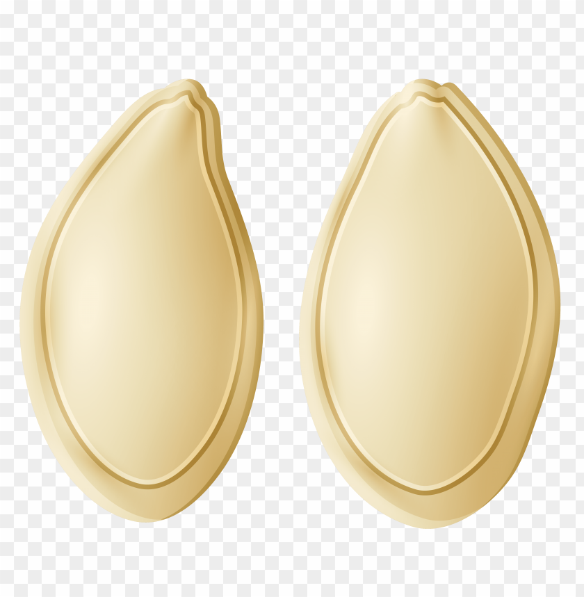 Free download | HD PNG pumpkin seeds illustration clipart png photo ...