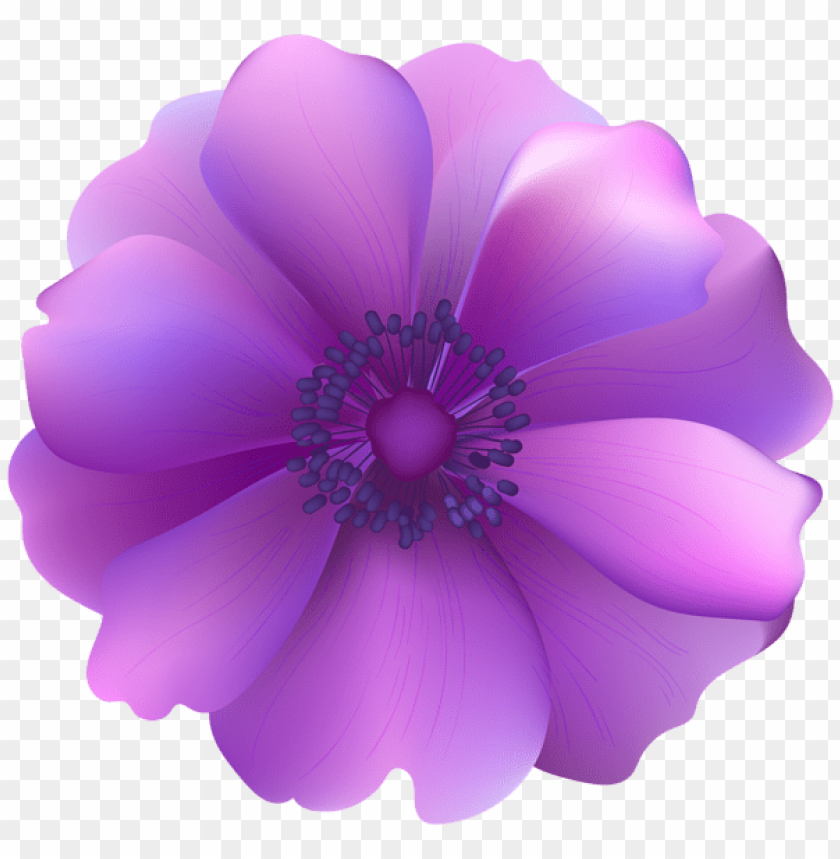 Free download | HD PNG PNG image of purple flower decorative ...