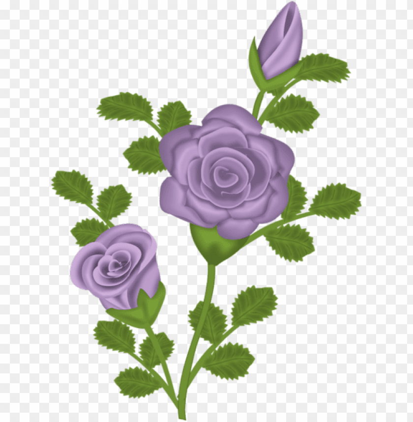 Free download | HD PNG PNG image of purple rose transparent with a ...