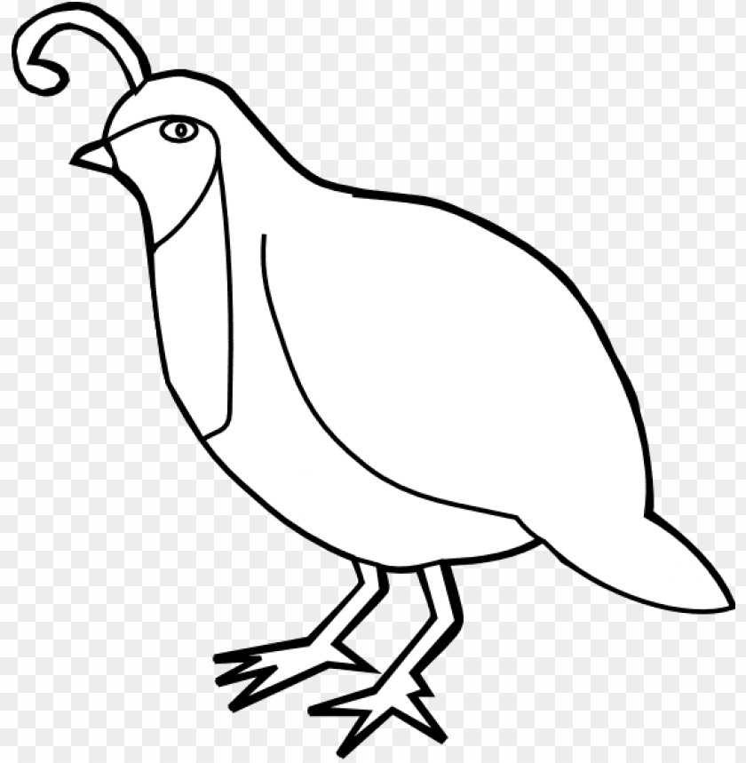 Free download | HD PNG quail outline PNG transparent with Clear ...