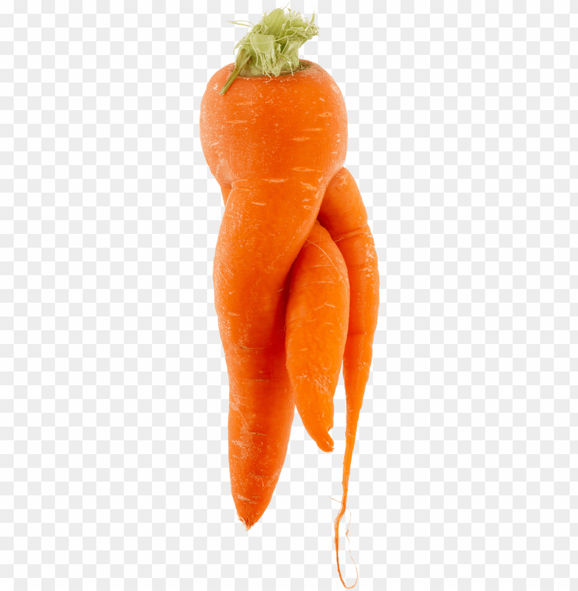 Free download | HD PNG r wonky carrot PNG transparent with Clear ...