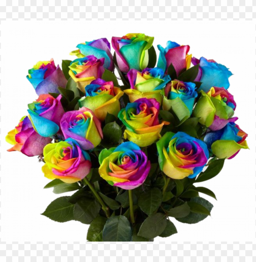 Free download | HD PNG rainbow rose PNG transparent with Clear ...