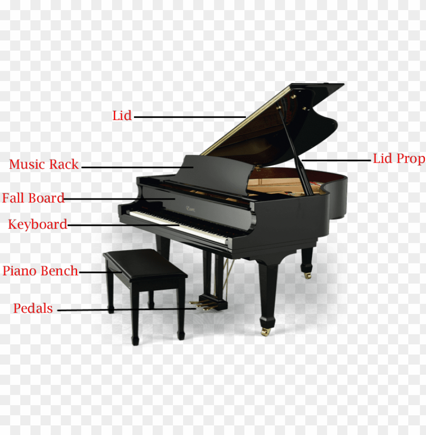 Parts Of A Piano Explained With Illustrated Diagram Homenish | atelier ...