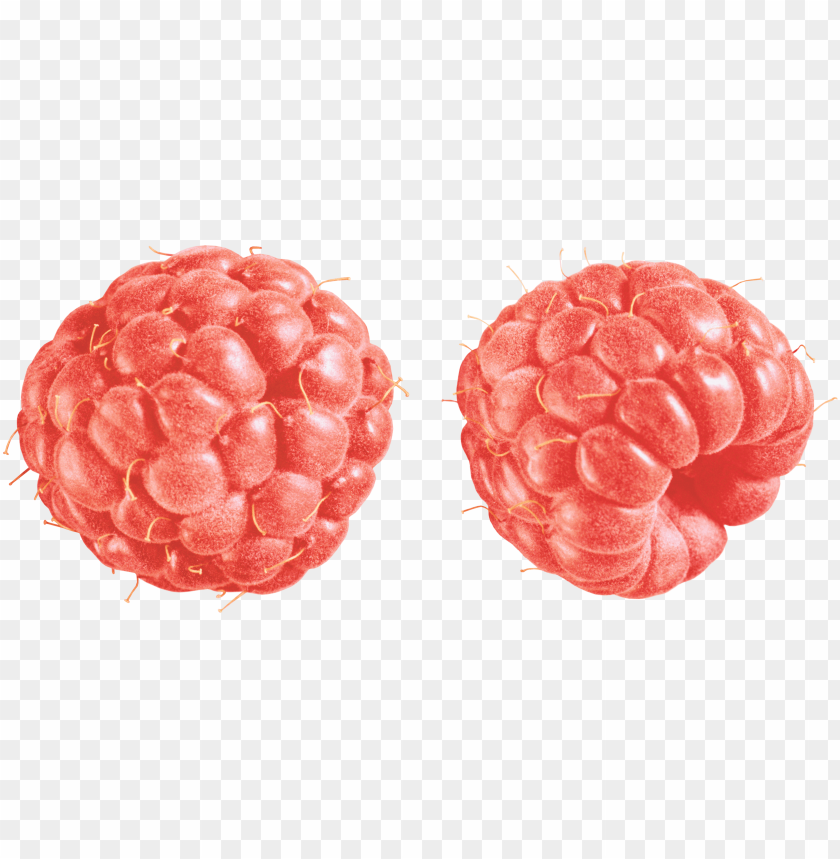 Free download | HD PNG two raspberries vector png clipart png photo ...