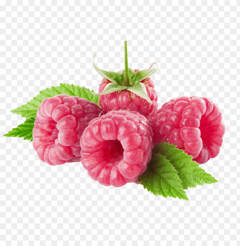 Raspberries Png cutout PNG & clipart images | TOPpng