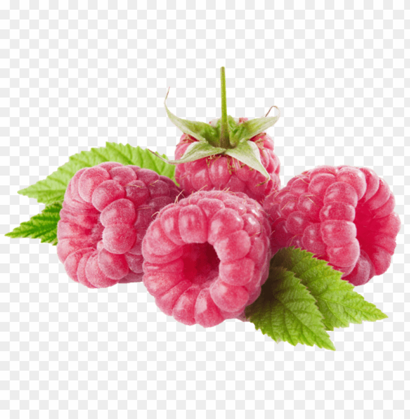 Free download | HD PNG cluster of fresh red raspberries | TOPpng