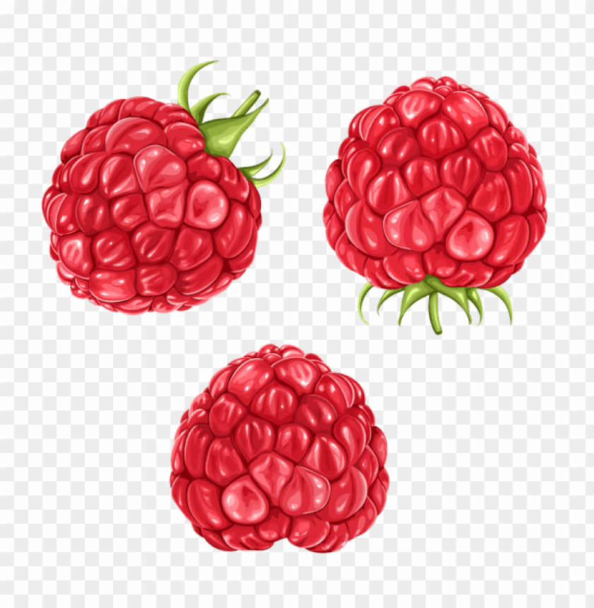 Free download | HD PNG four bright red raspberries close up | TOPpng