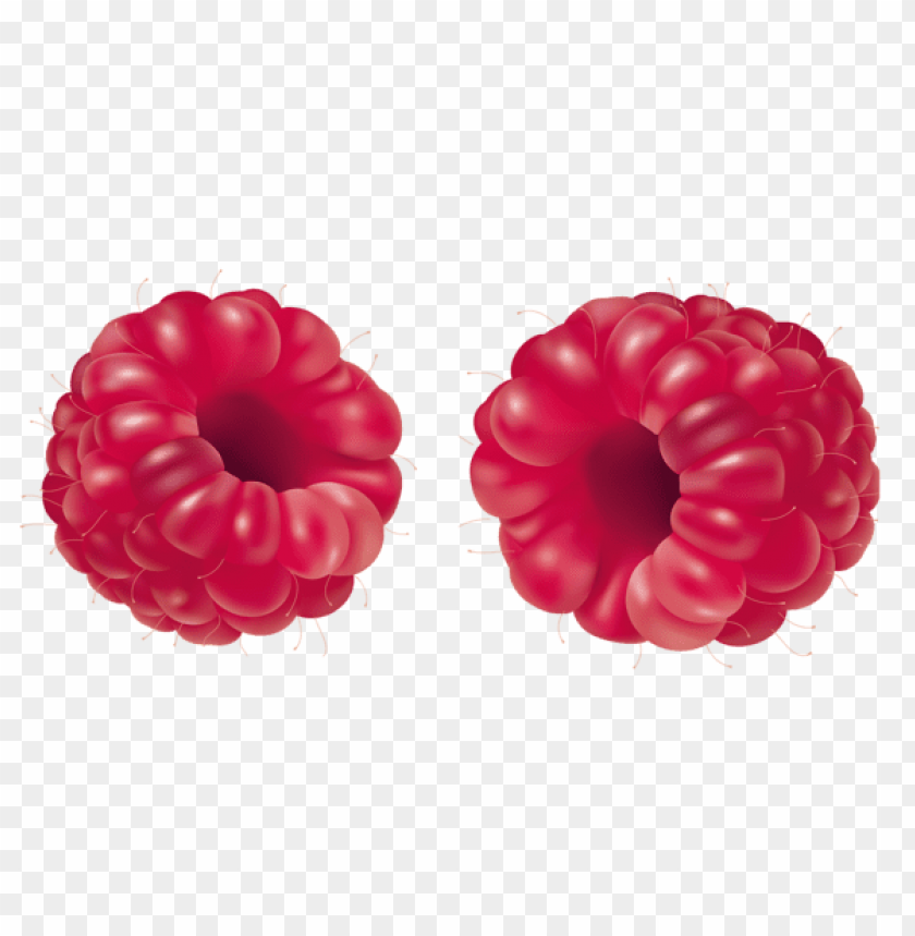 Free download | HD PNG two raspberries with bright red color | TOPpng