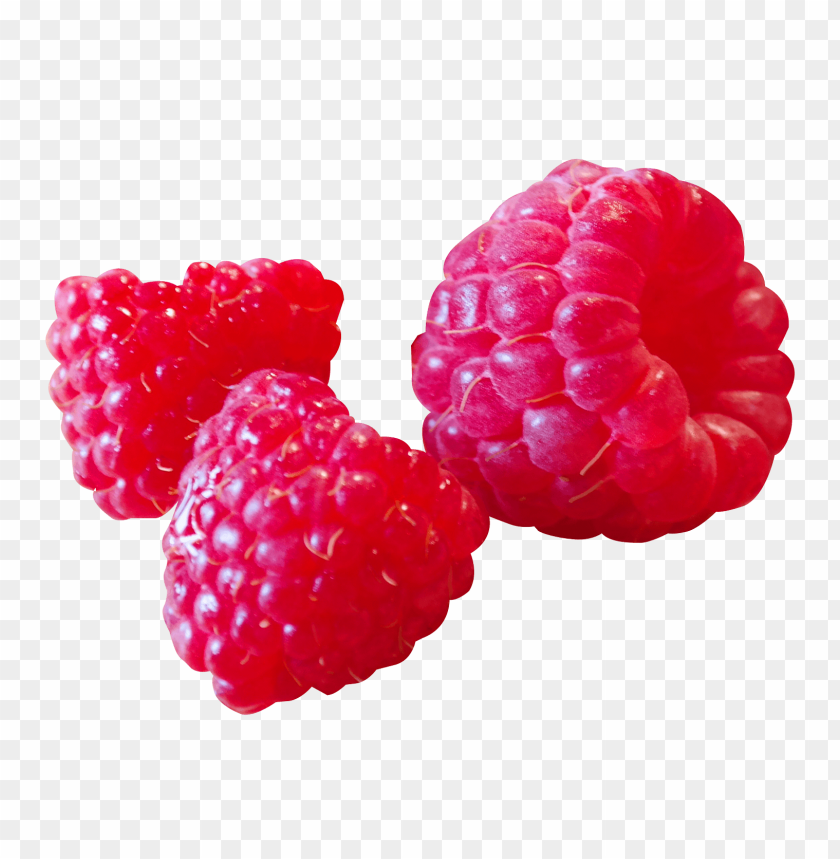 Free download | HD PNG red raspberry and cluster illustration | TOPpng