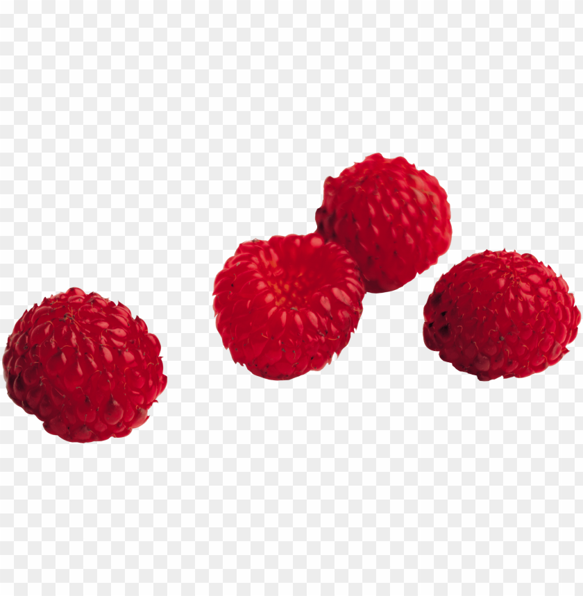 Free download | HD PNG raspberry PNG images with transparent ...